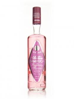 Buy Antica Raspberry Sambuca Single Malt Whisky - Antica | Whisky ...